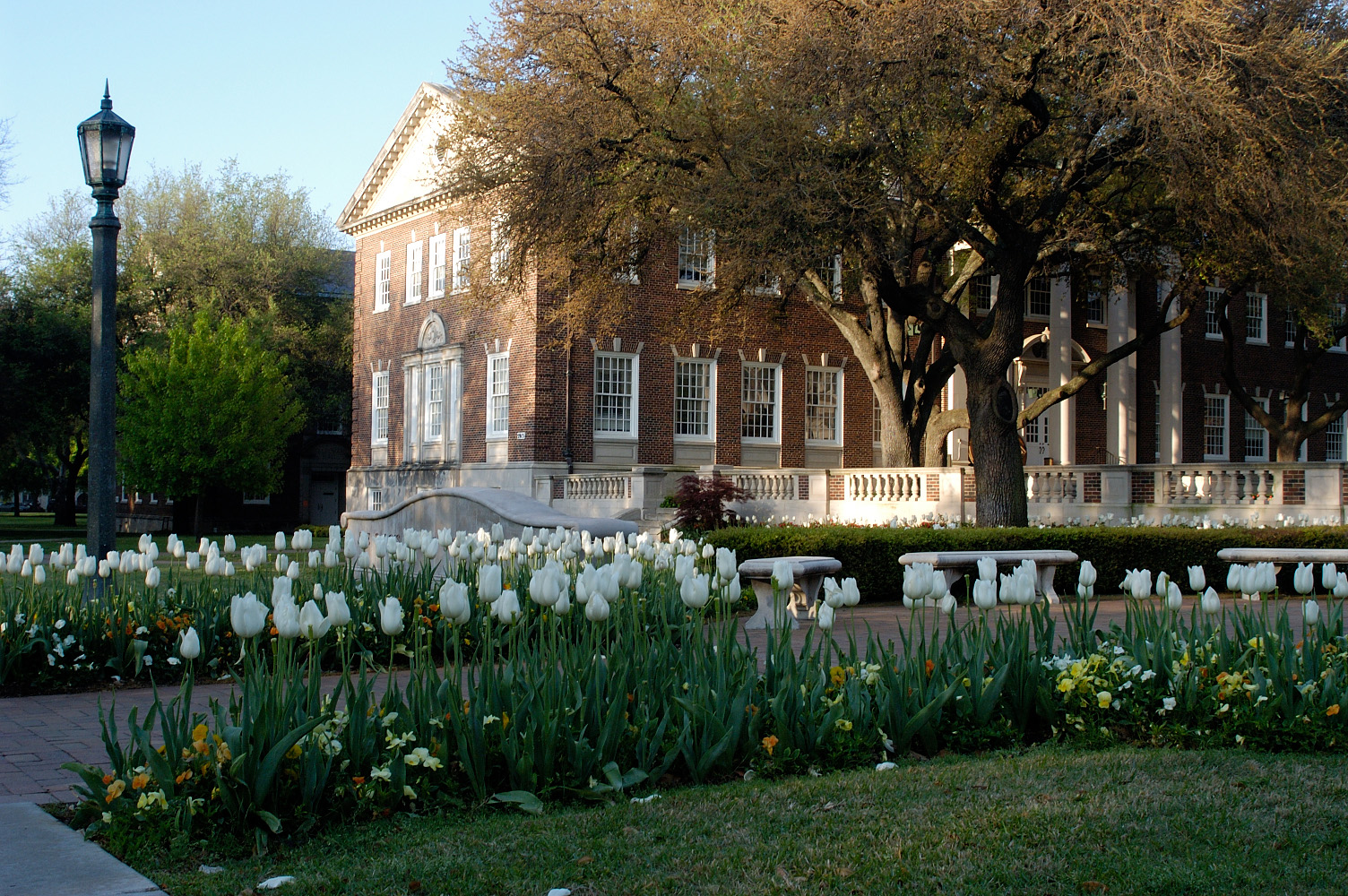 Smu Campus Photos