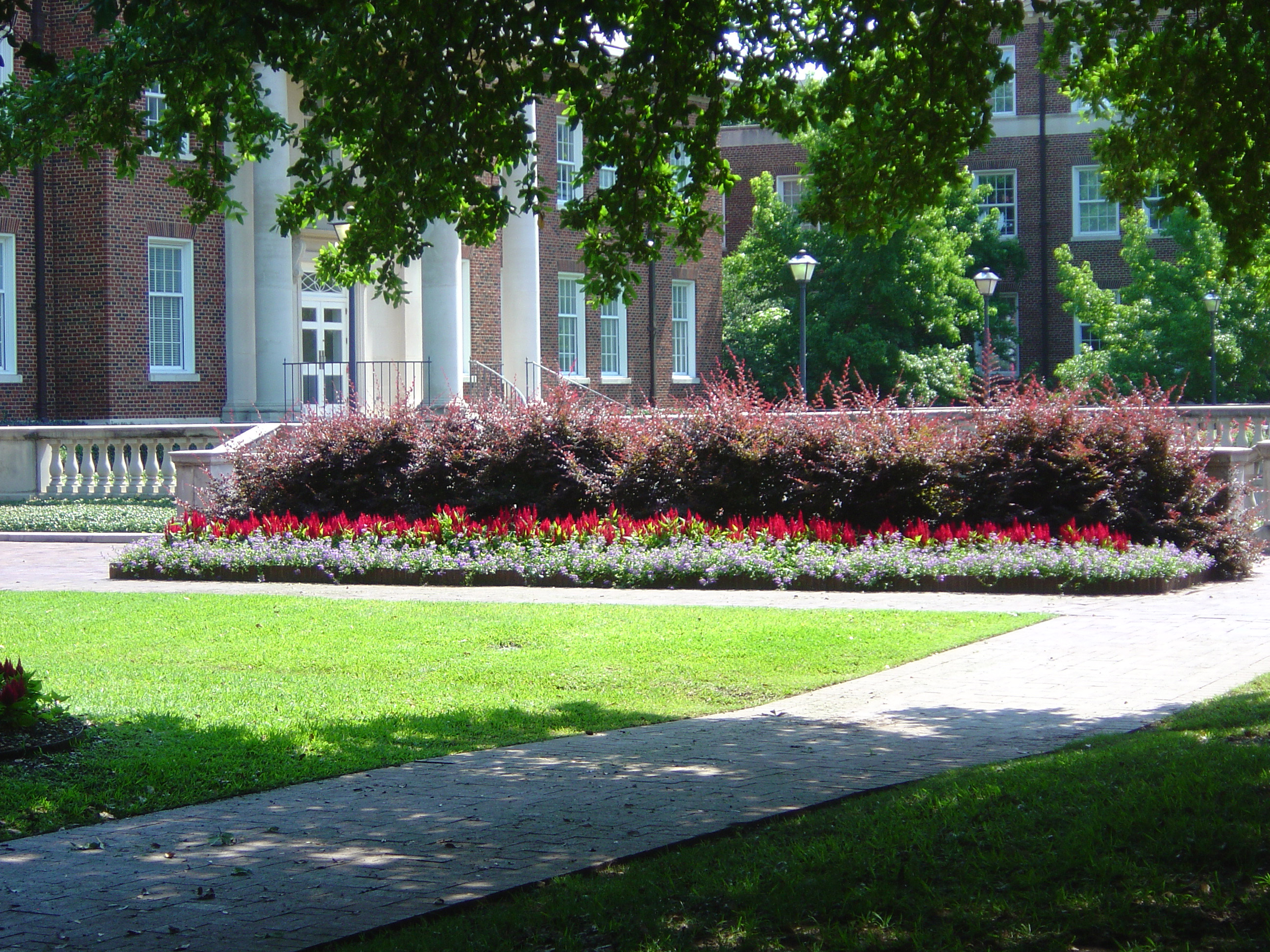 Smu Campus Photos