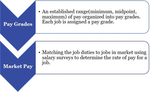 Compensation Study FAQs (2023) - SMU Human Resources