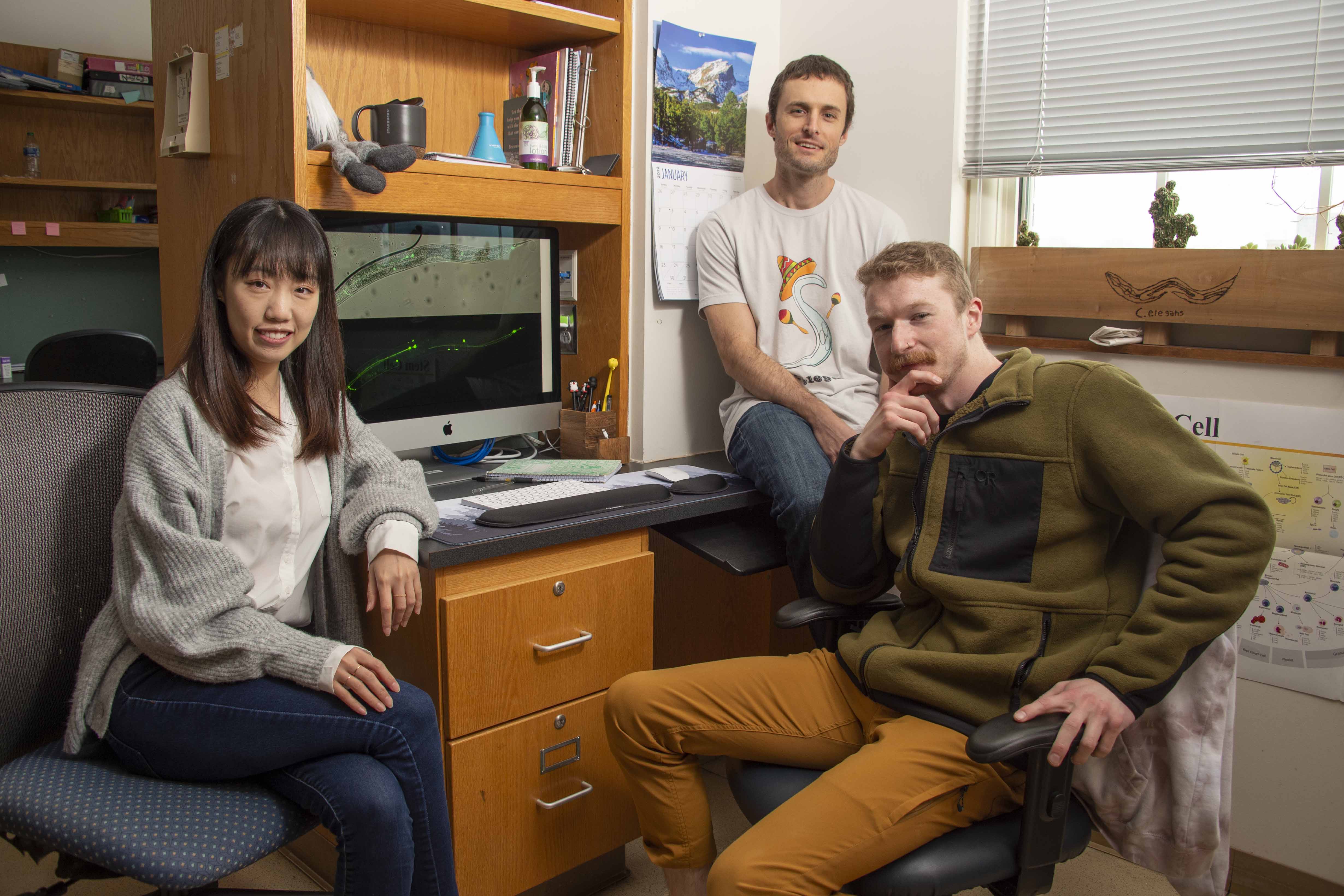 Dedman College of Humanities and Sciences | SMU Dedman College of ...