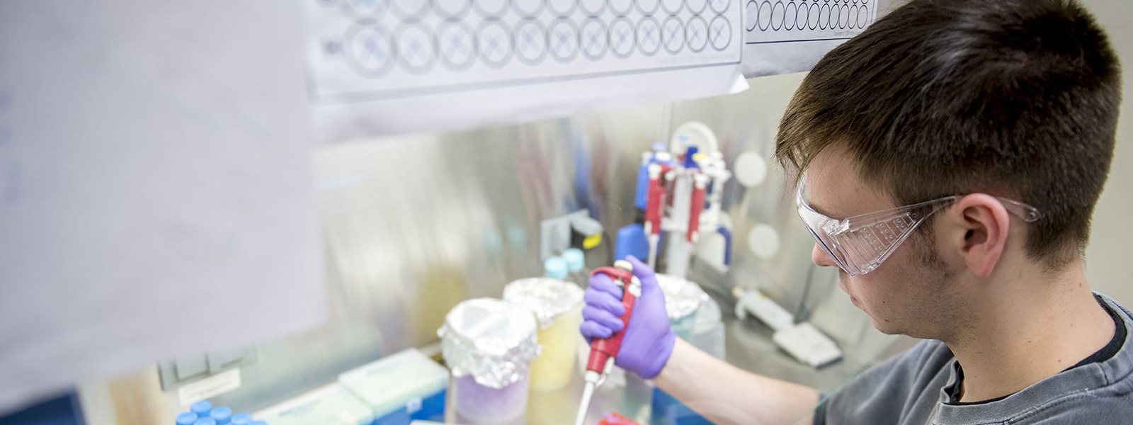 Why Study Here? - Dedman College of Humanities and Sciences SMU