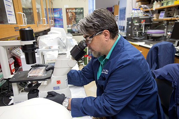 Department of Biological Sciences - Dedman College of Humanities and Sciences SMU