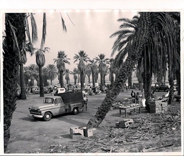 September 11, 2024: Jonathan Angulo - Dedman College of Humanities and ...