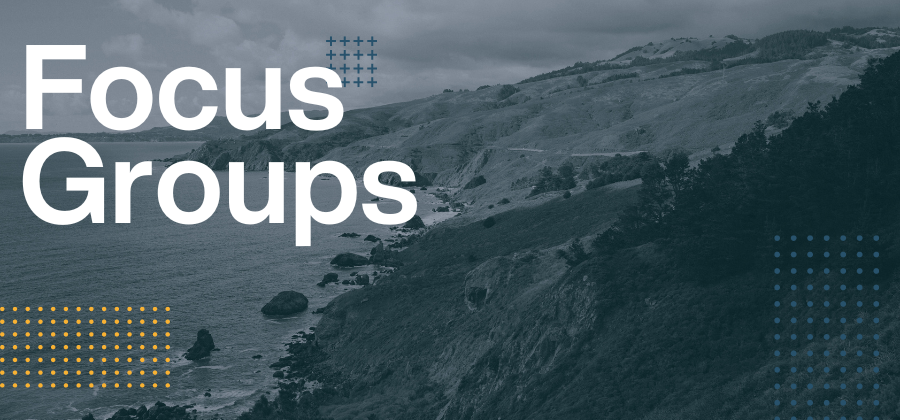 California Focus Groups - SMU Dedman School of Law