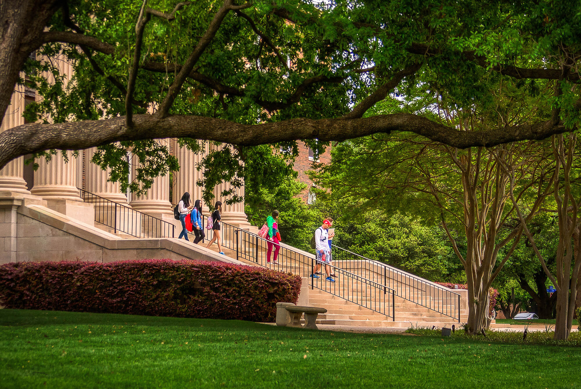 Undergraduate Admission - Meadows School of the Arts, SMU