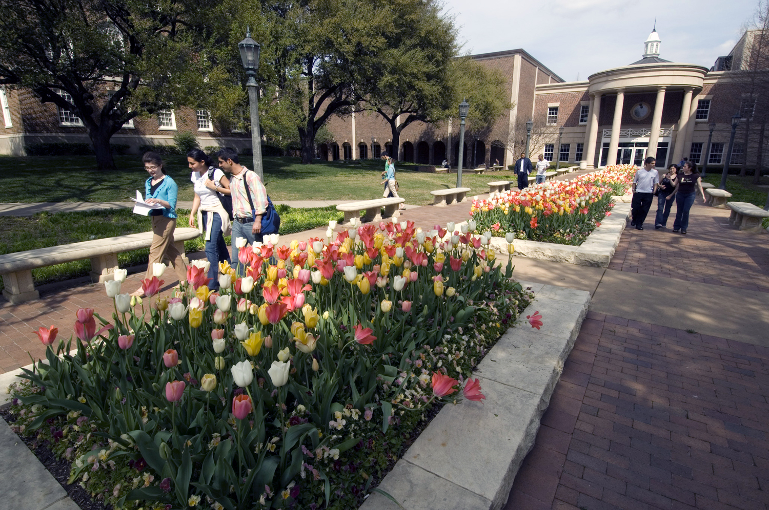 Smu Campus Photos