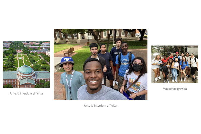 Design Components - SMU