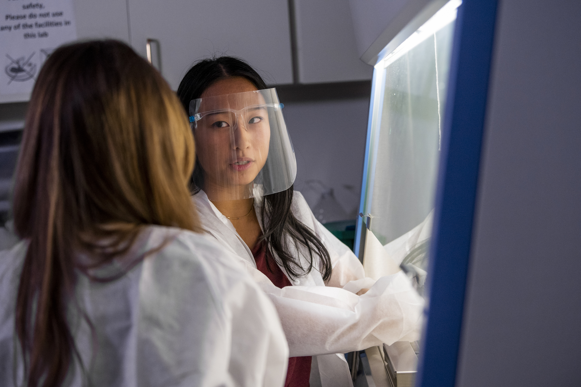 Undergraduate Research at SMU - SMU