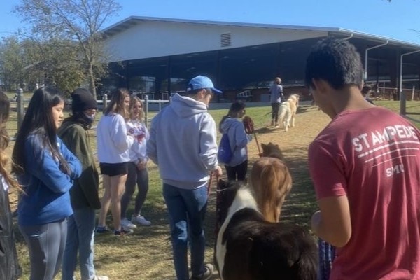 Hilltop Scholars Program - SMU
