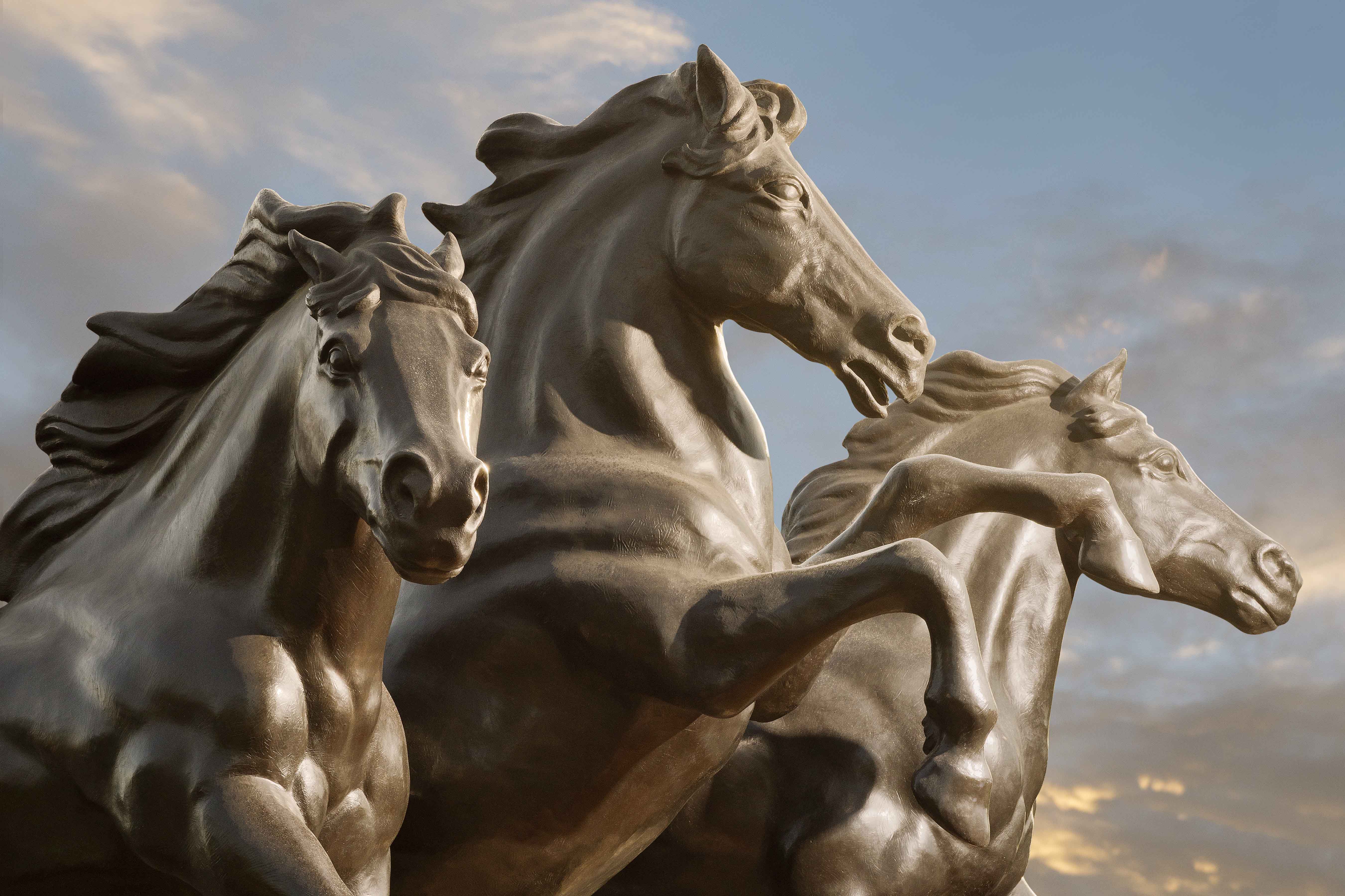 University Honors Program - SMU