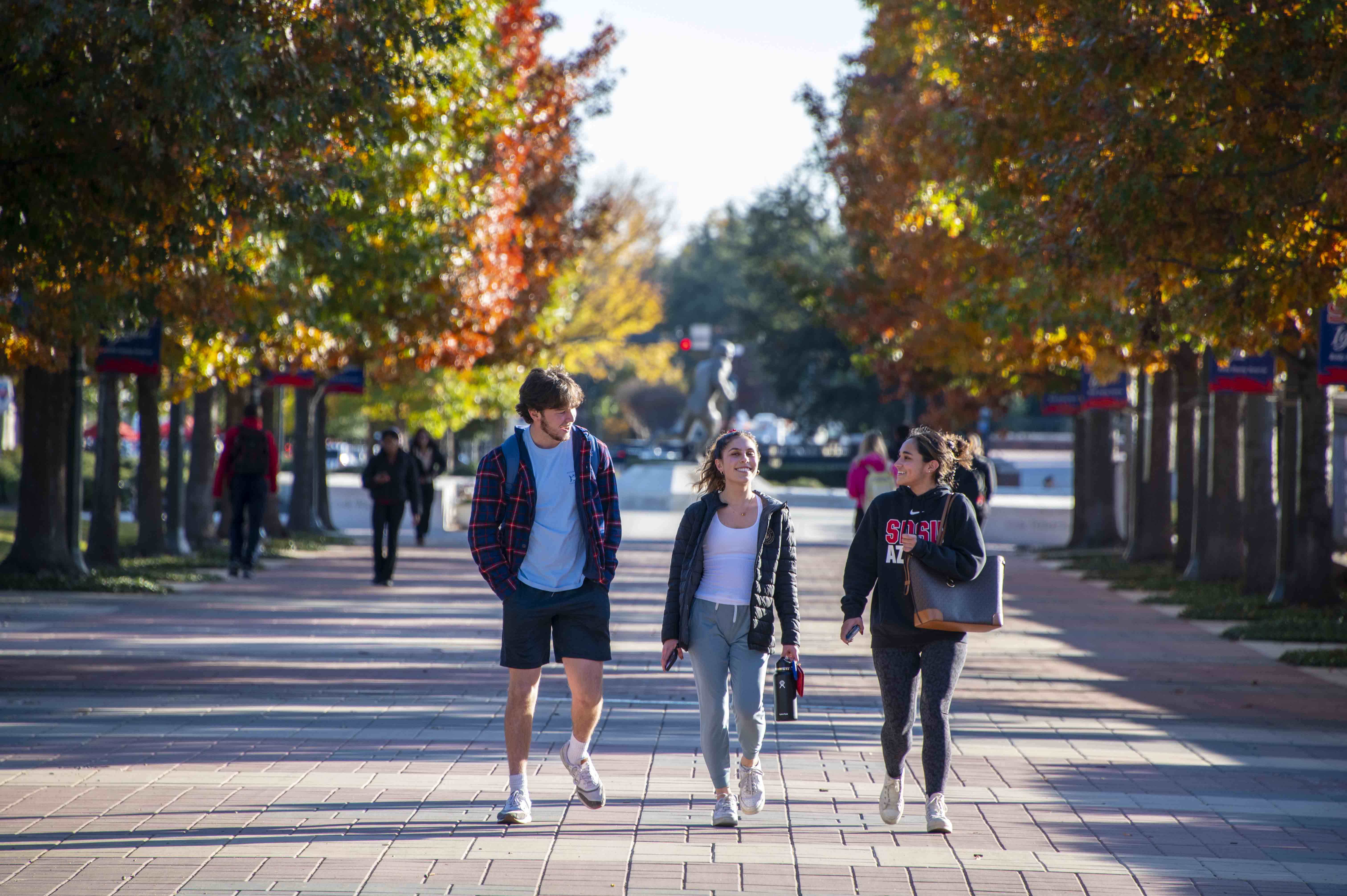 University Foundations Program - SMU