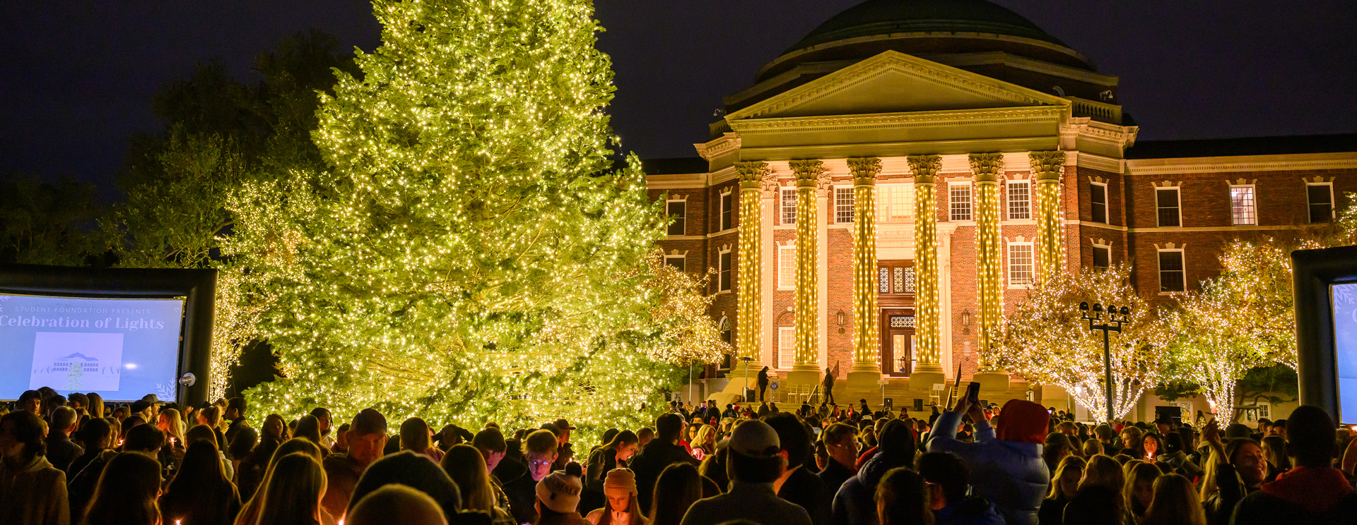 Celebrate the season