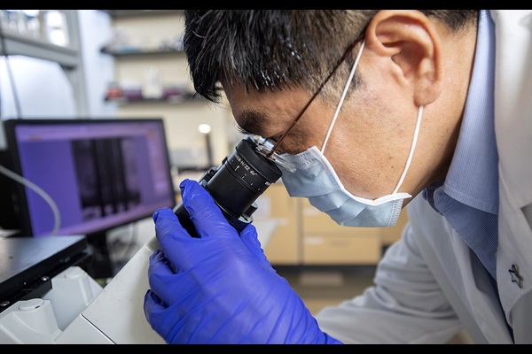 M.S. in Biomedical Instrumentation | SMU Lyle School of Engineering