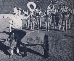 SMU Mustang Band - Student Affairs