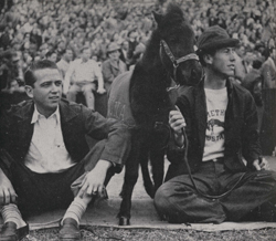 SMU Mustang Band - Student Affairs