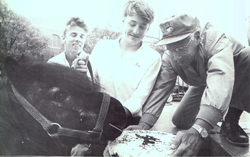 SMU Mustang Band - Student Affairs