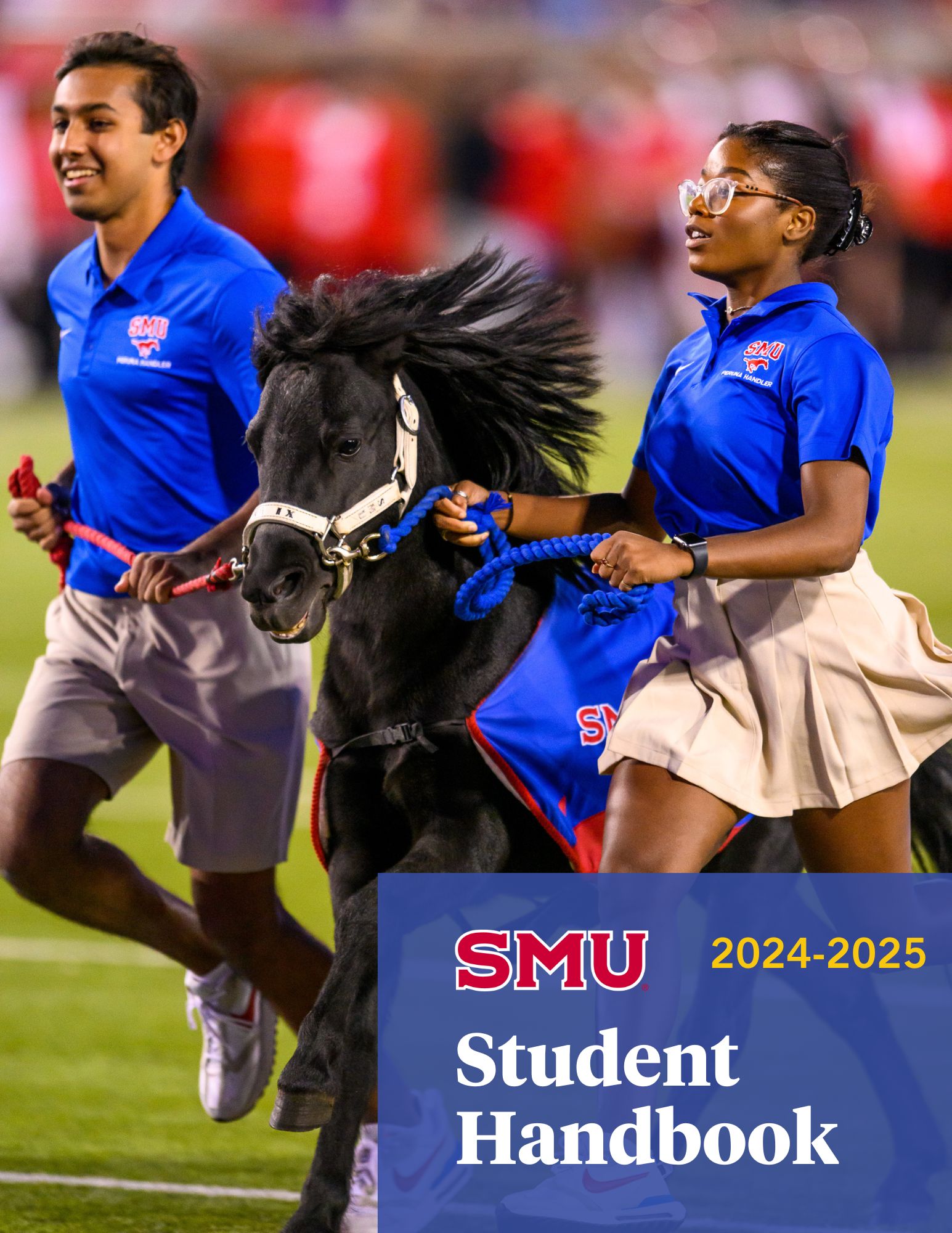Student Handbook - Student Affairs