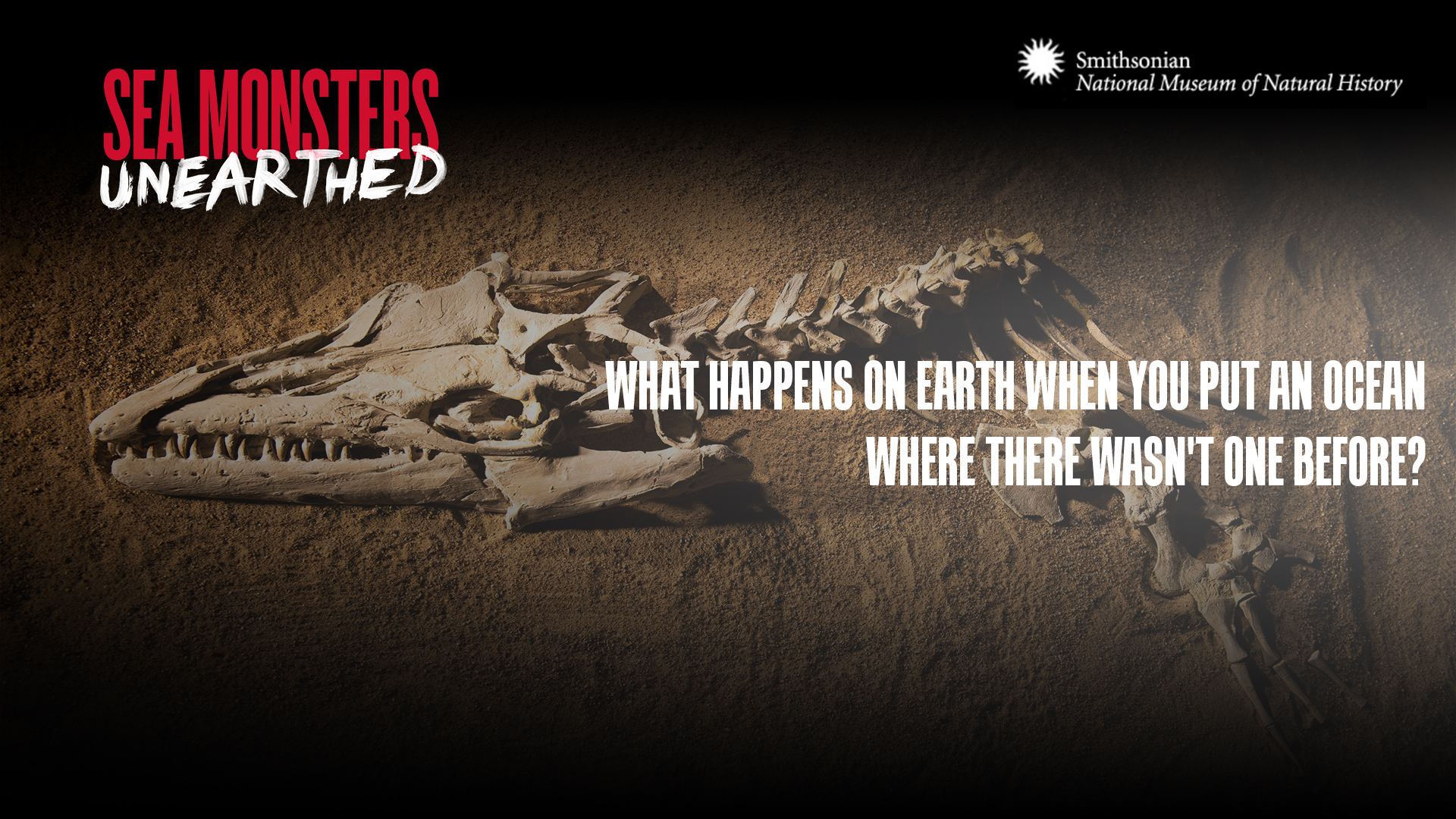 Seamonsters Unearthed
