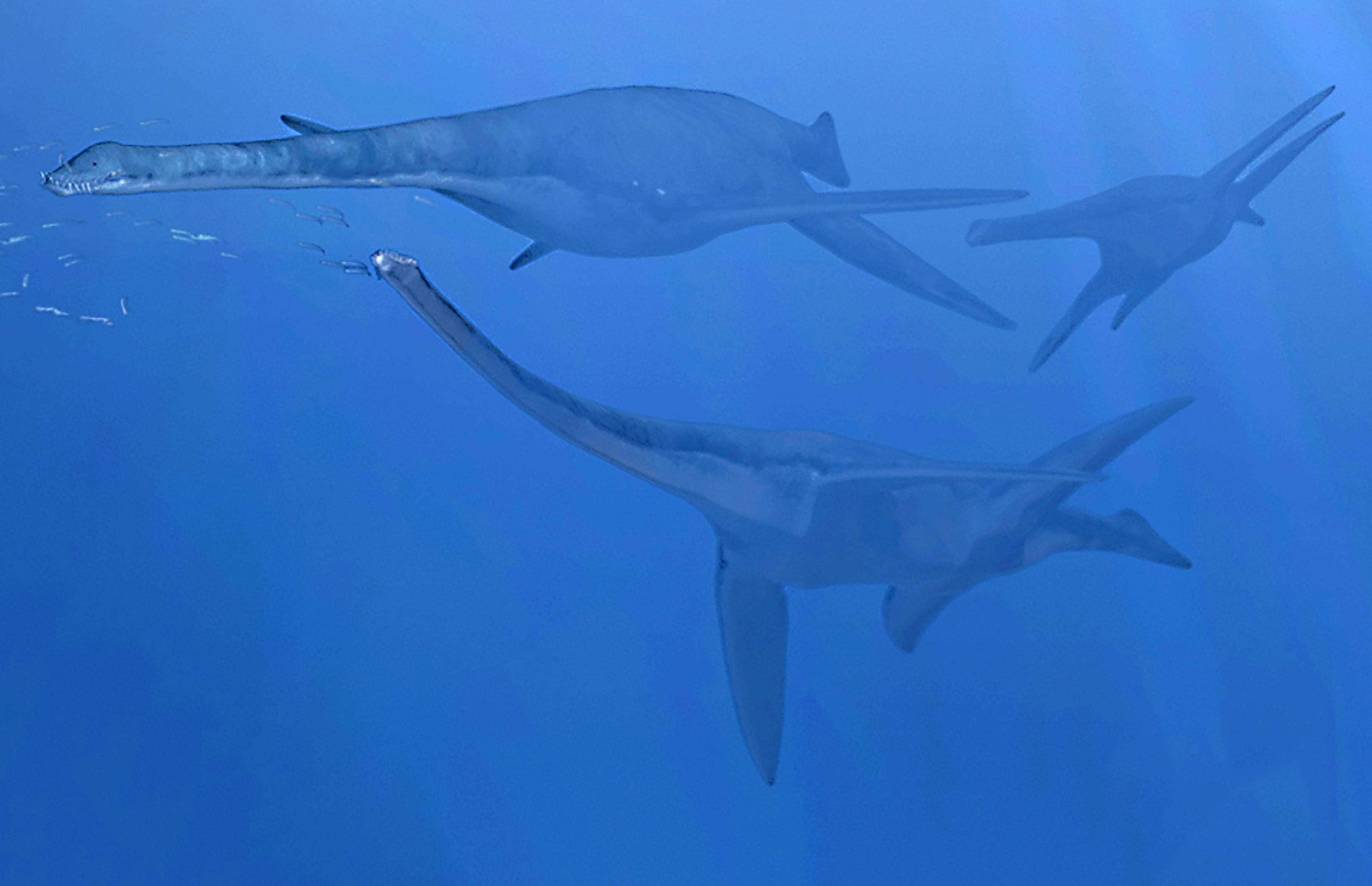 CT scan of an ancient reptile skull reveals little evolutionary change